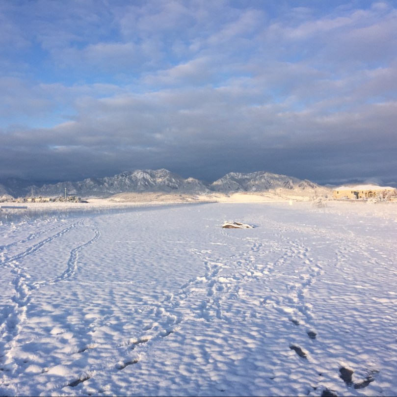 A Plains Poem – Love, Your Brain